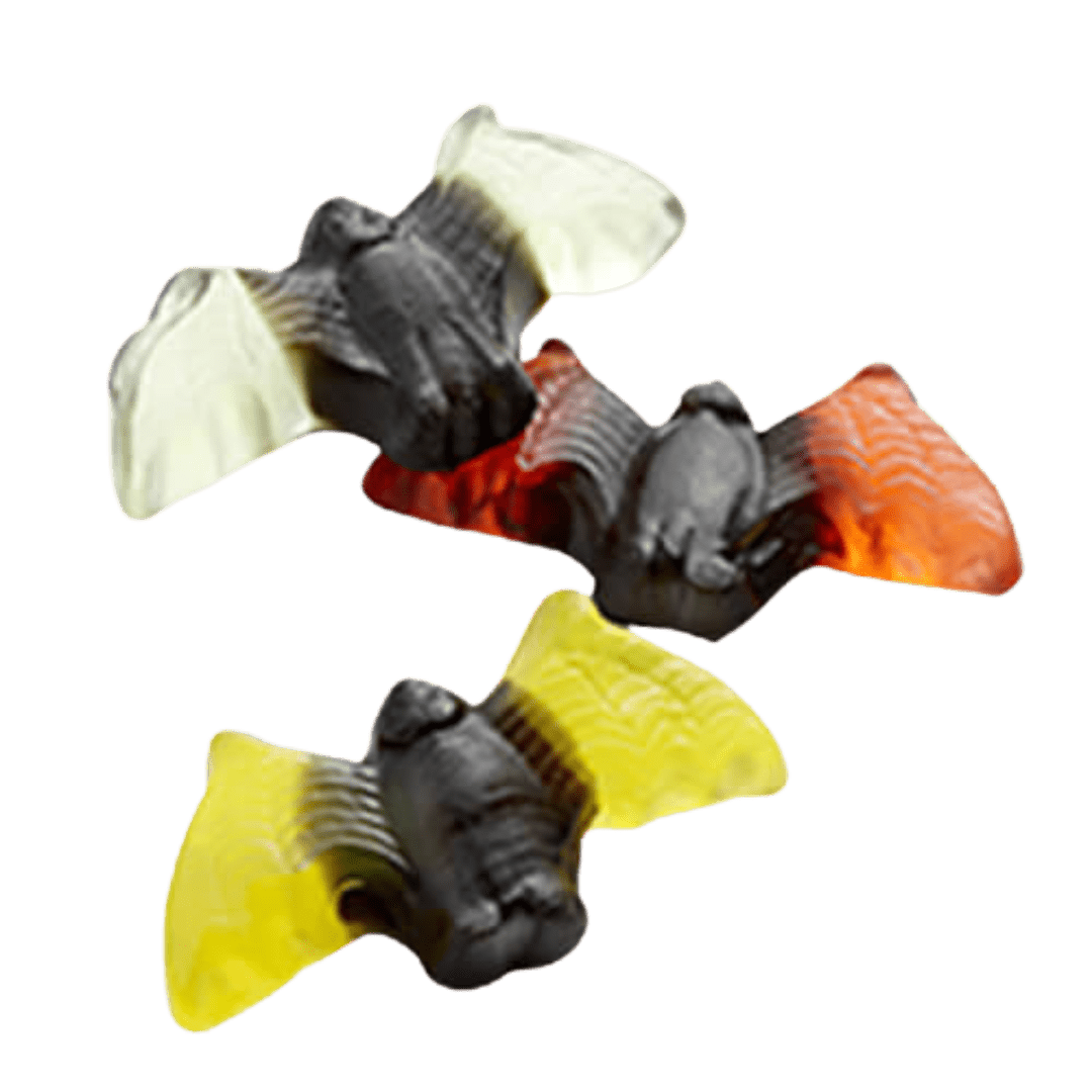Vampire Bats – Norwegian Market